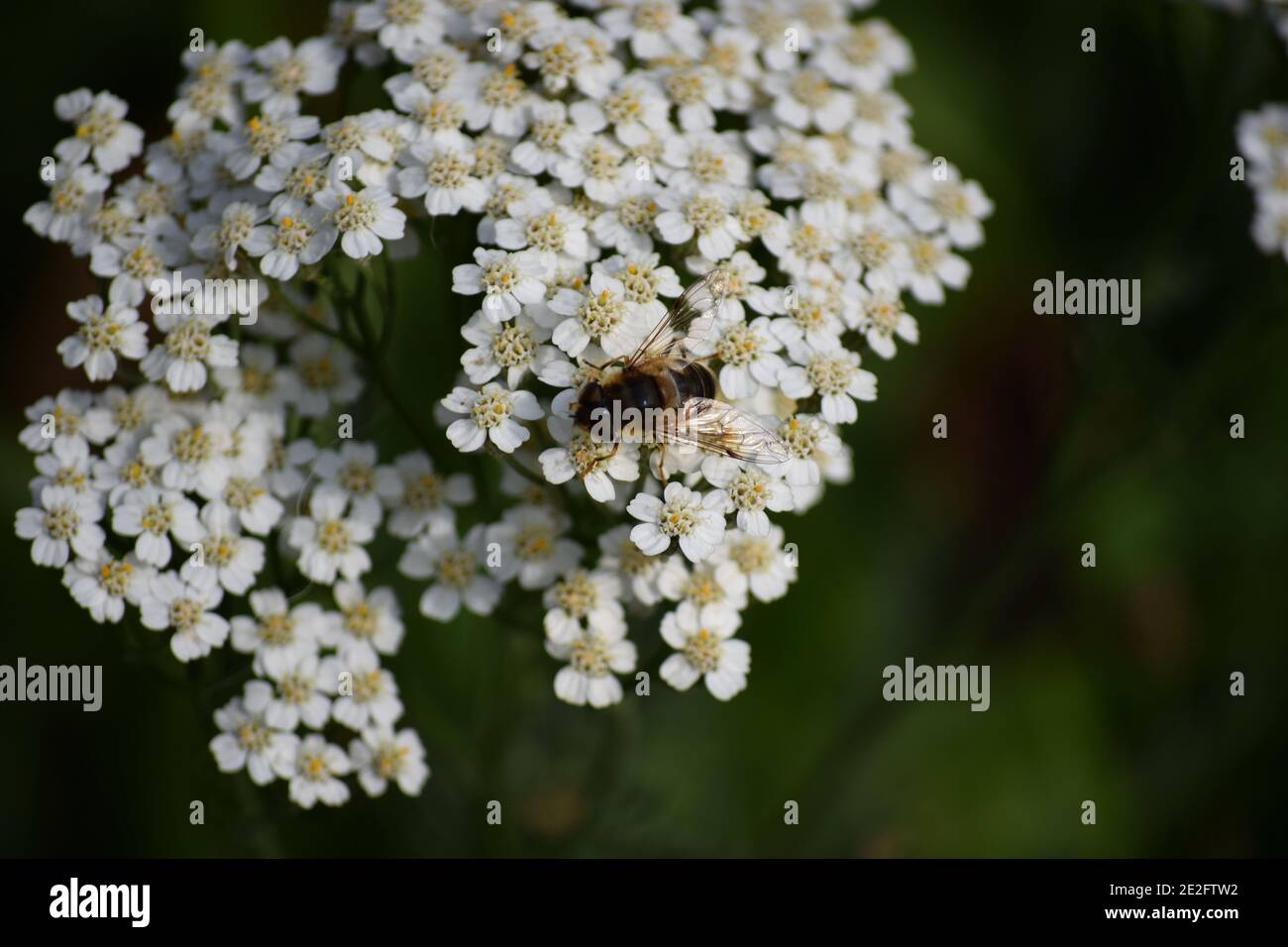 On The Top Ofa High Resolution Stock Photography and Images - Alamy