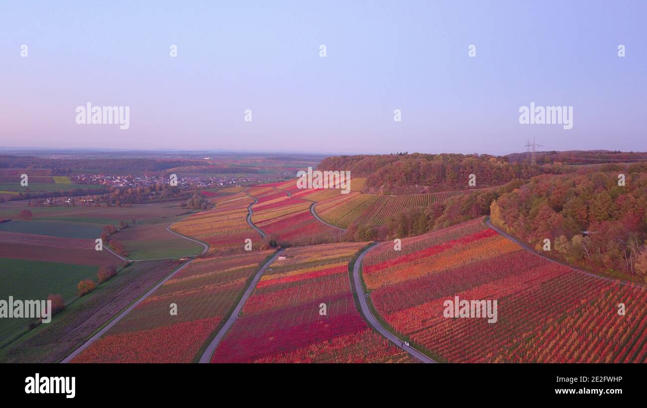 Aerial view of colorful flower fields at sunse Stock Photo - Alamy