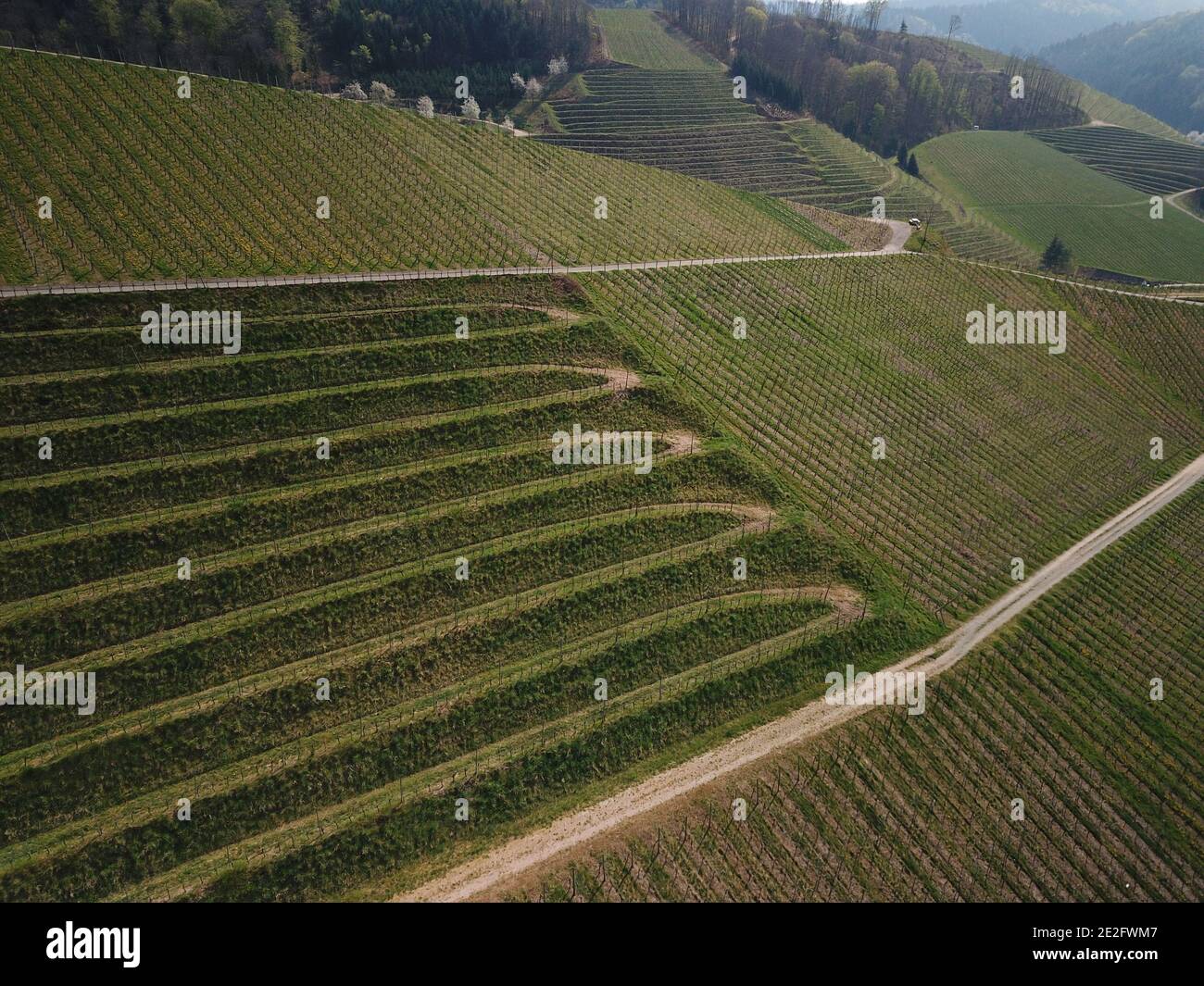 Aerial view of beautiful terraced landscape Stock Photo - Alamy