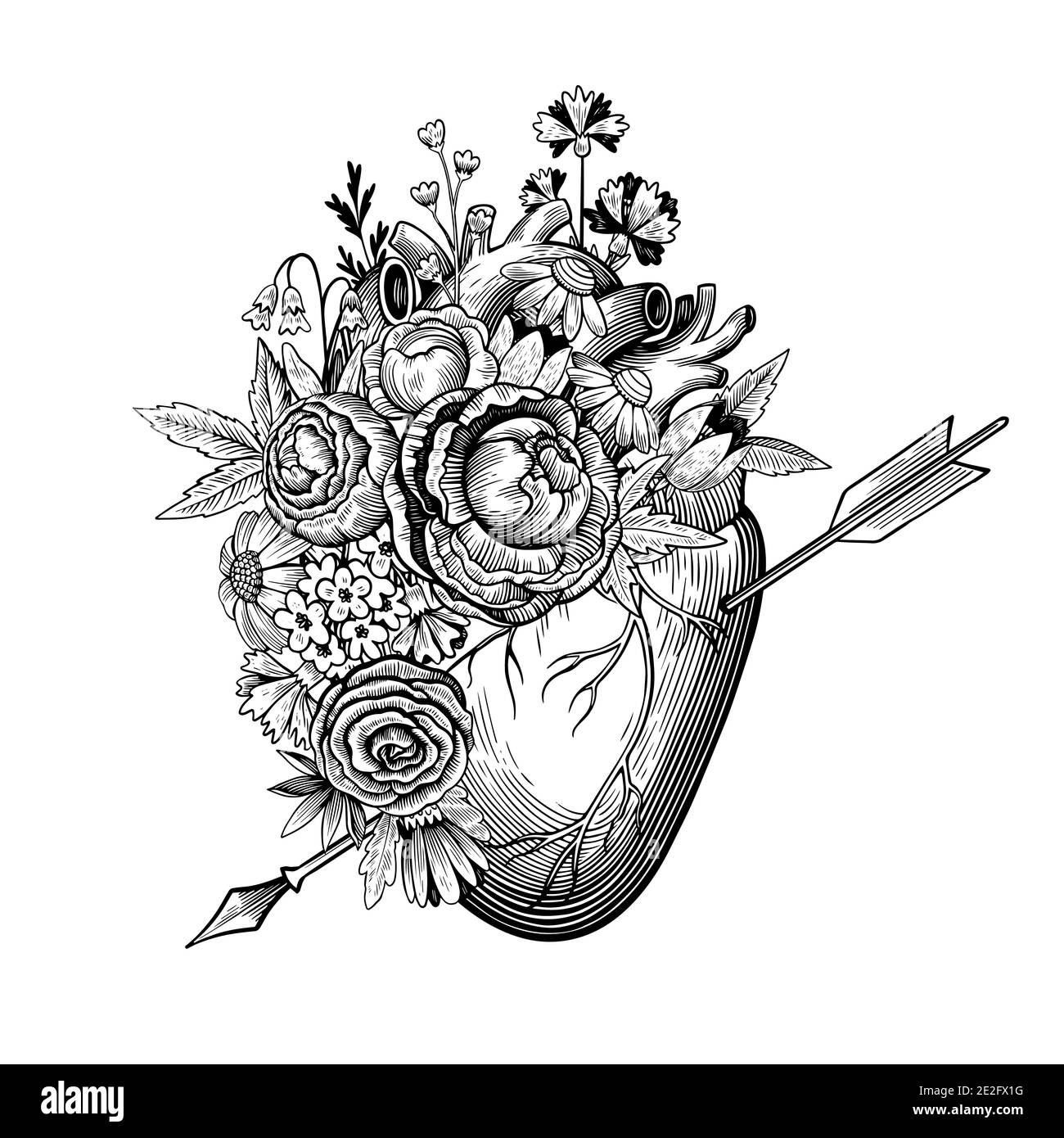 Vintage Arrows Drawing