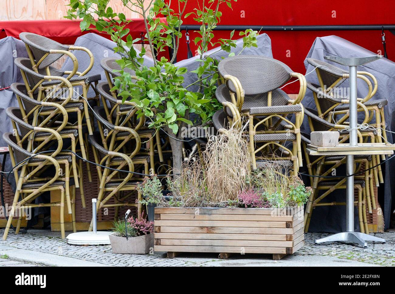 Berlin germany lemon tree hi-res stock photography and images - Alamy