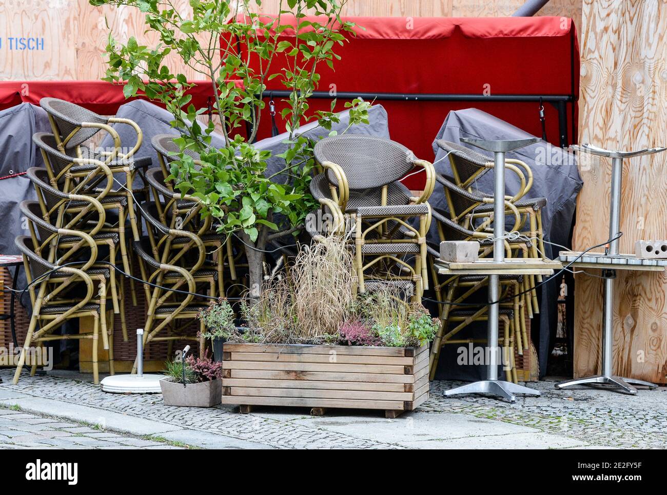 Berlin germany lemon tree hi-res stock photography and images - Alamy