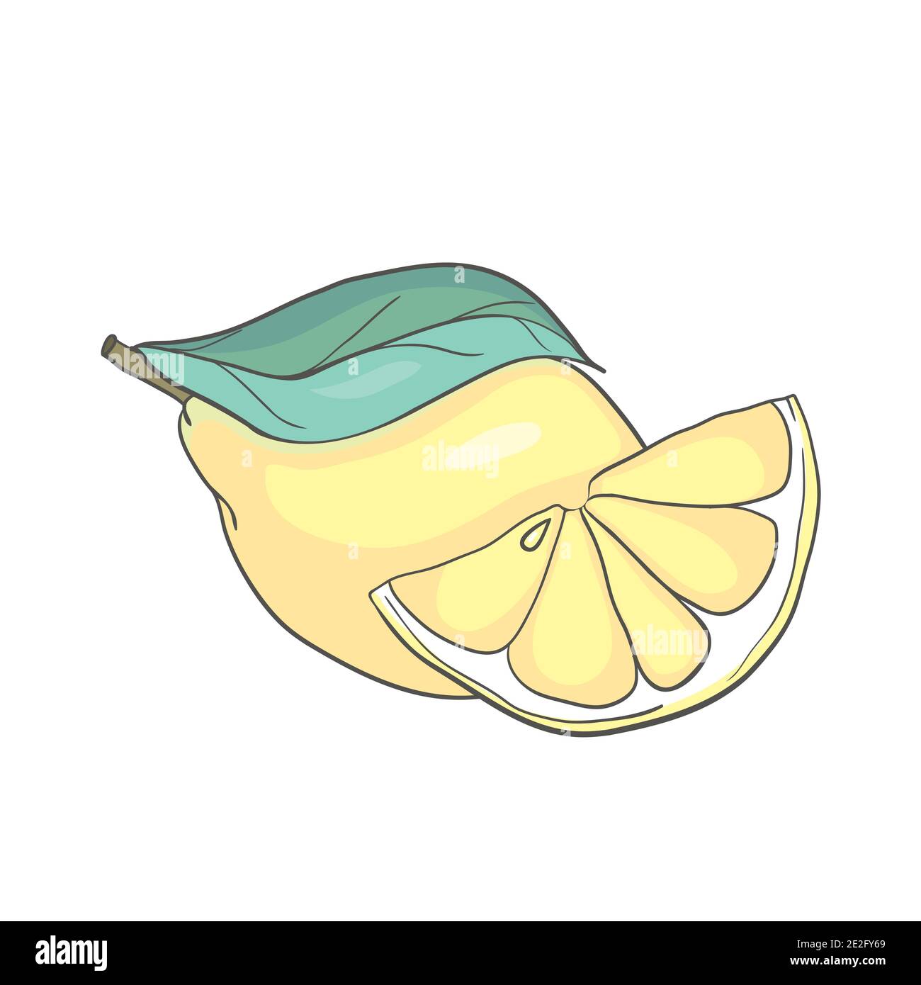 Hand drawn vector lemon whole and round slice, piece, on light ...
