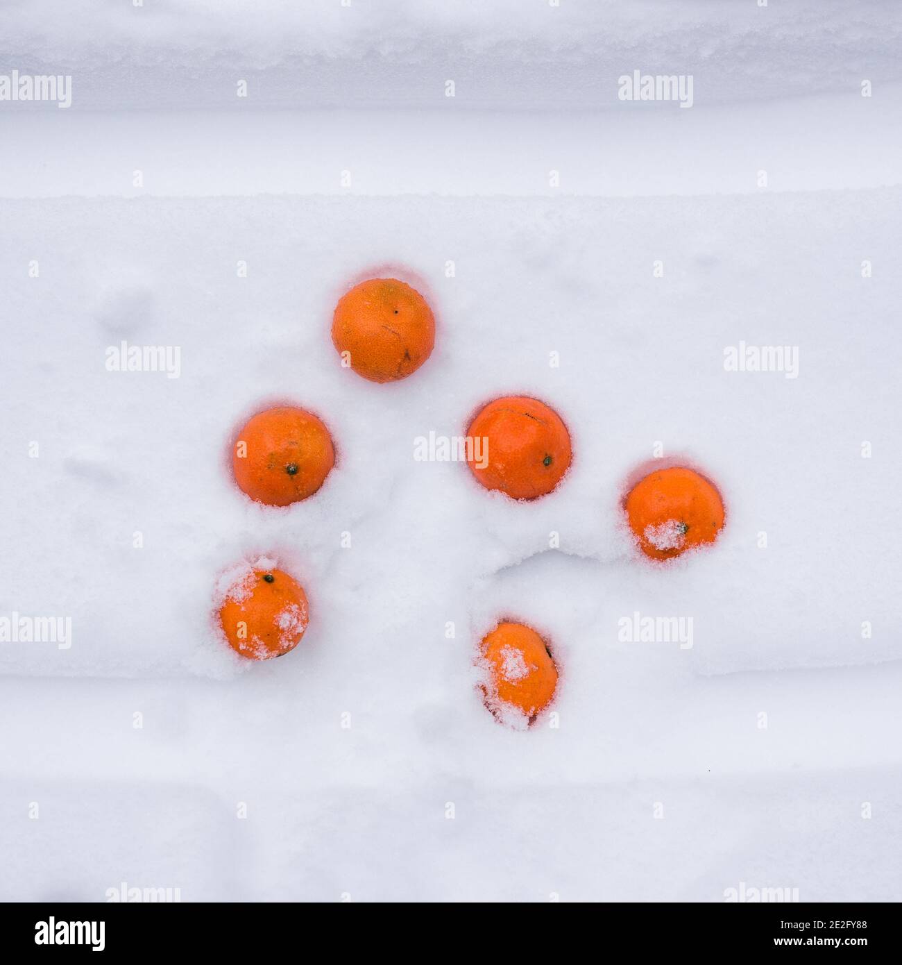 Mandarin orange snow hi-res stock photography and images - Alamy