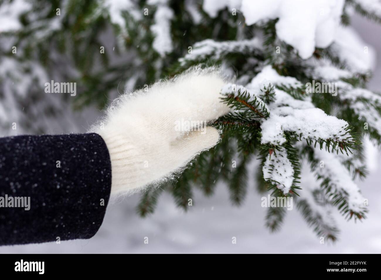 Snowball hand glove winter hi-res stock photography and images - Alamy