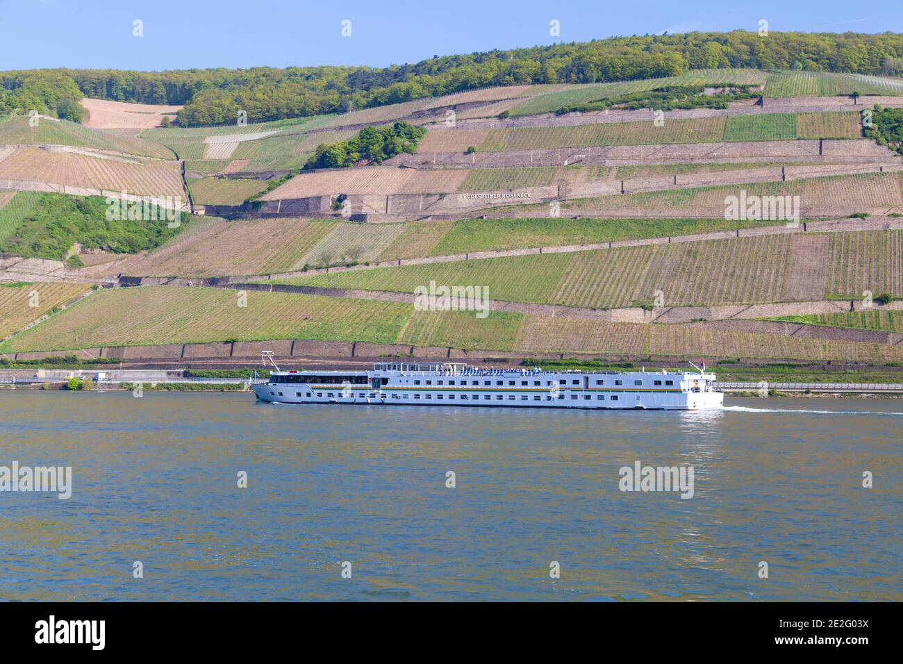 Cruise boat on the Rhine river in Germany Stock Photo - Alamy