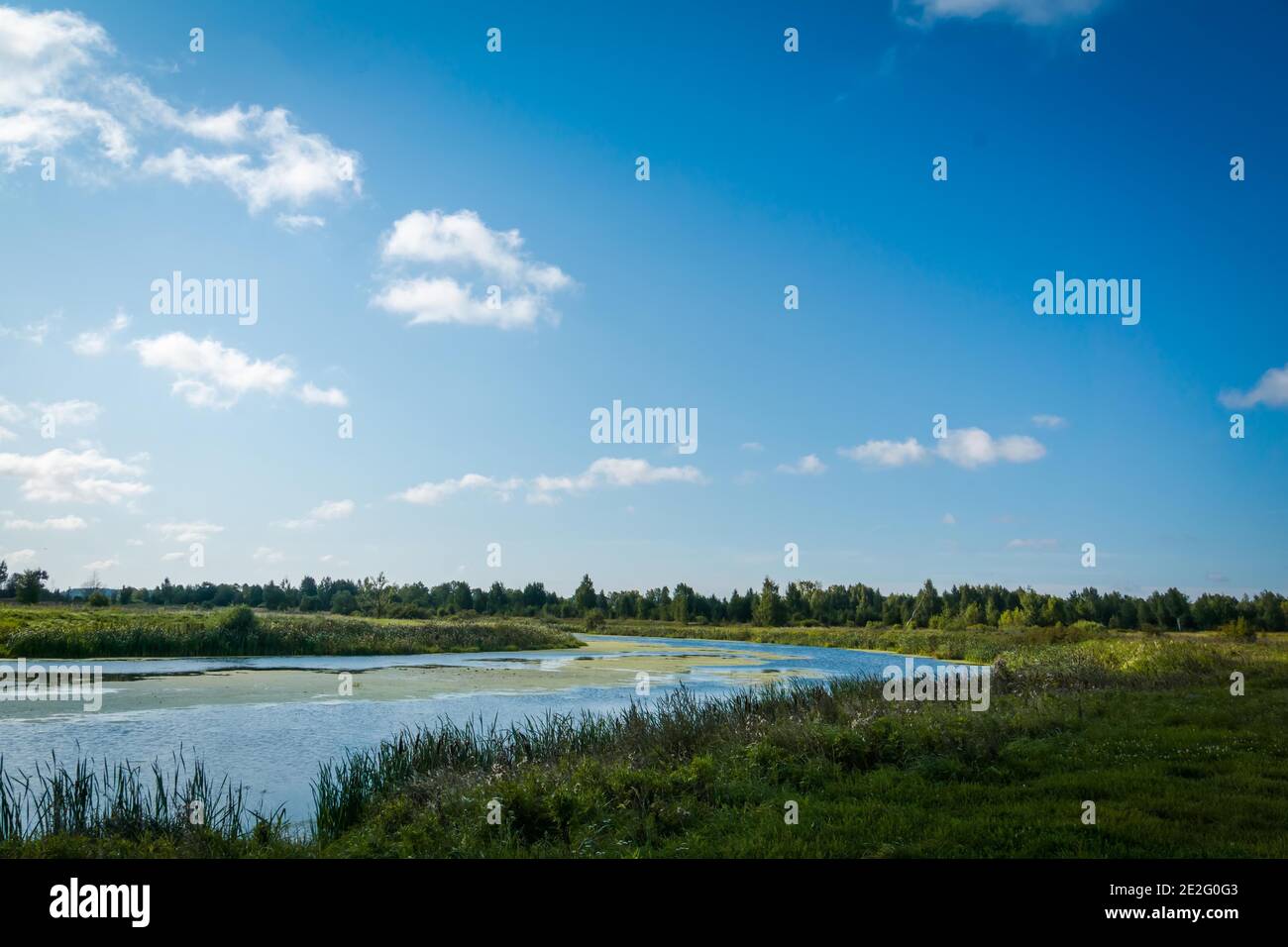 Summer rural landscape with river and blue sky background Stock Photo ...