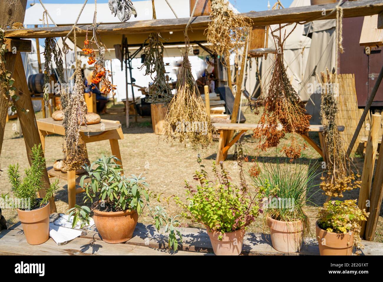 Medieval herb garden hi-res stock photography and images - Alamy