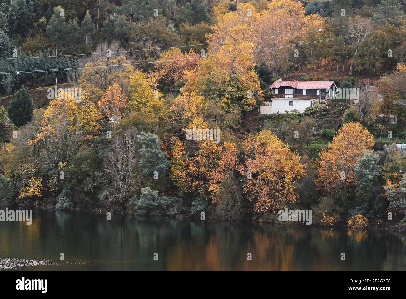 Aerial shot of an autumn scene of a colorful forest and a beautiful ...