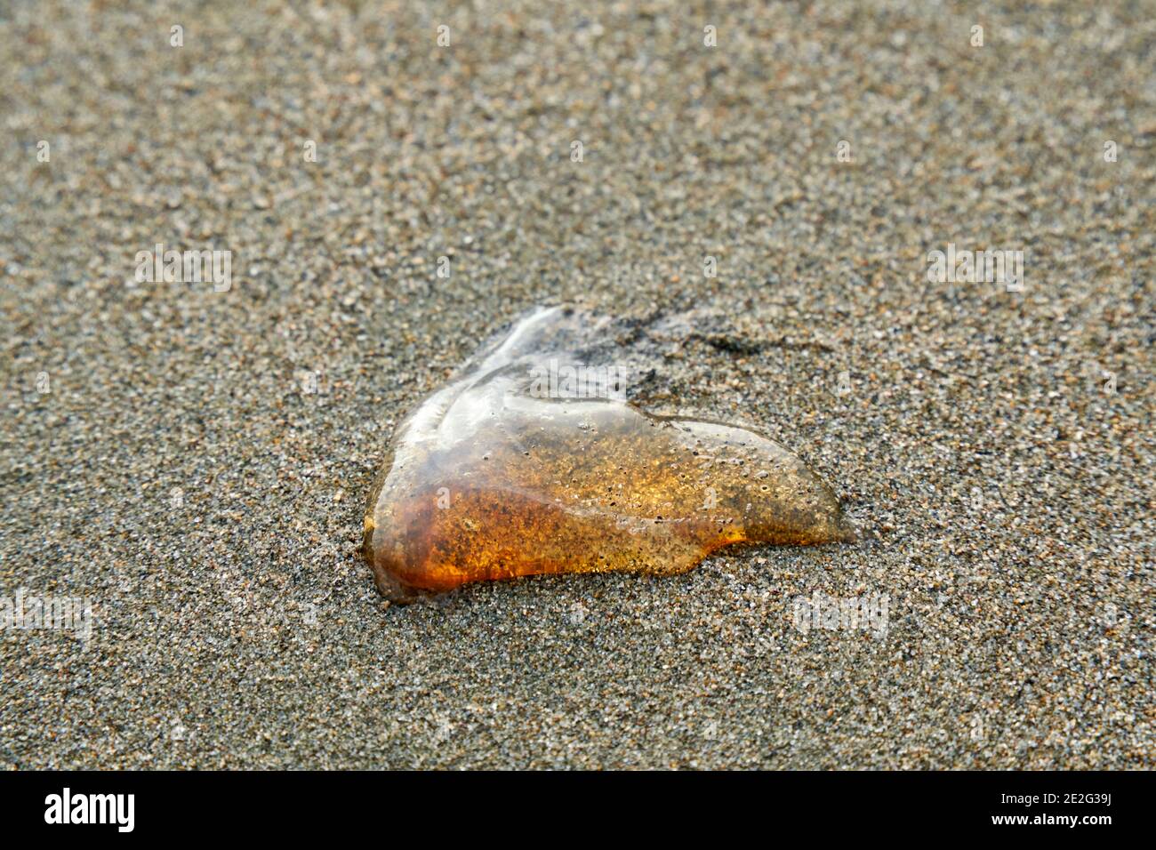 Dillon Beach California High Resolution Stock Photography and Images ...