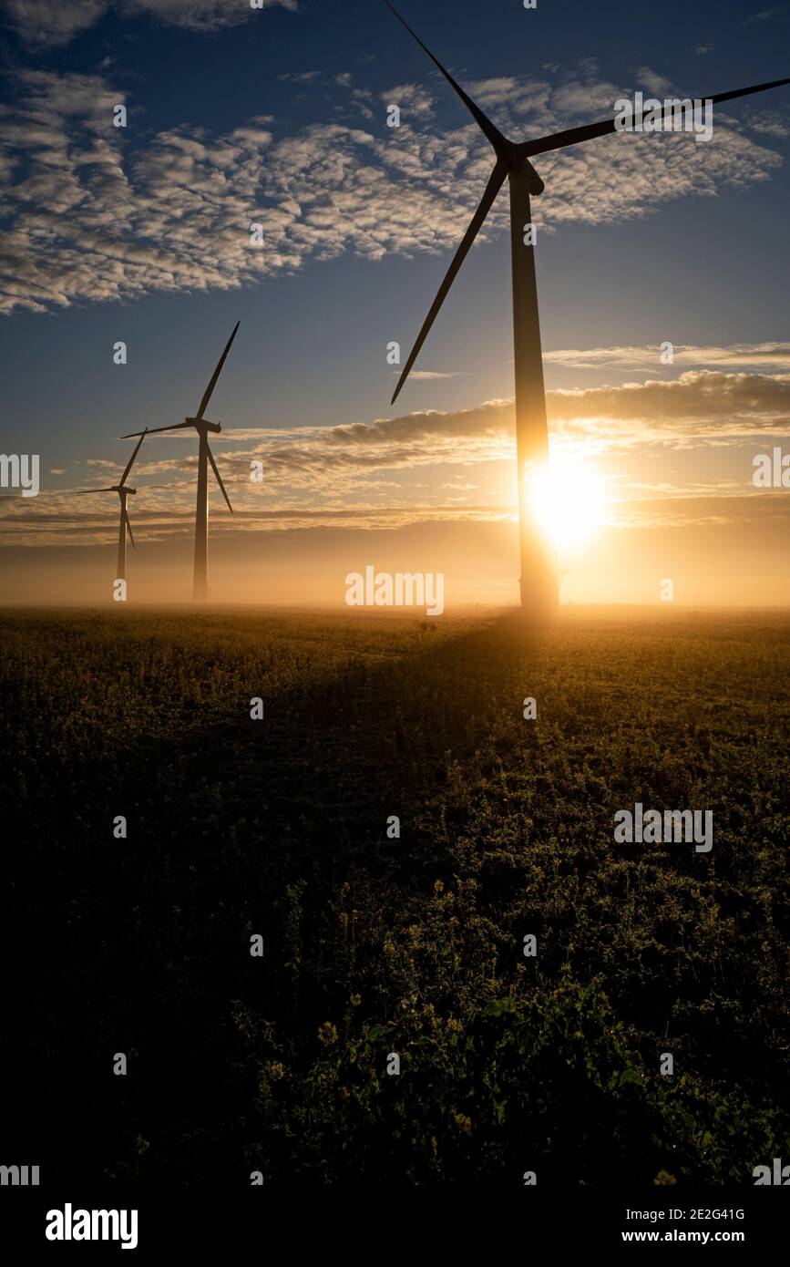 Climate Environment Sustainable Shadow High Resolution Stock ...