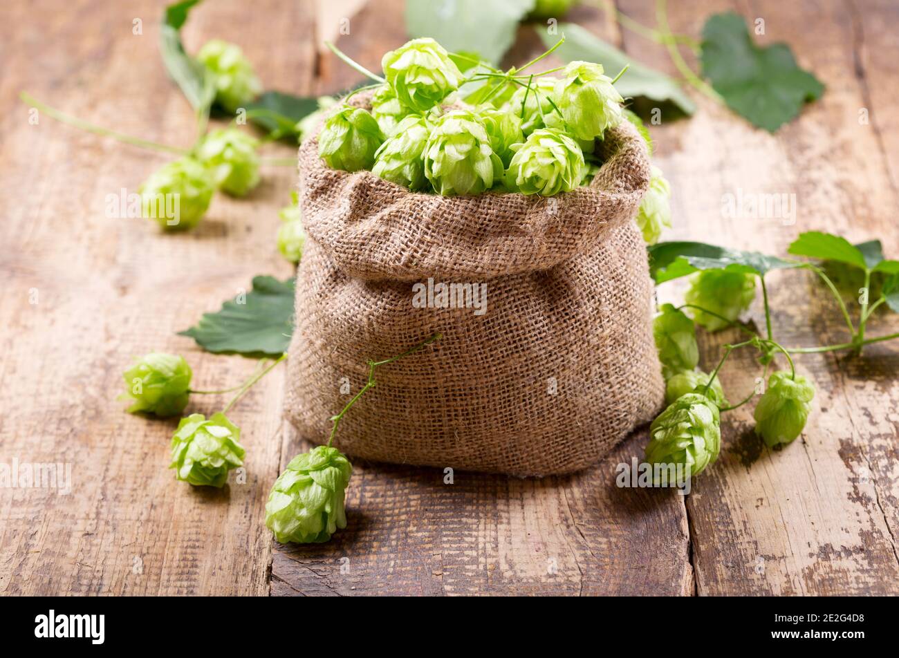 Sack of hops hi-res stock photography and images - Alamy
