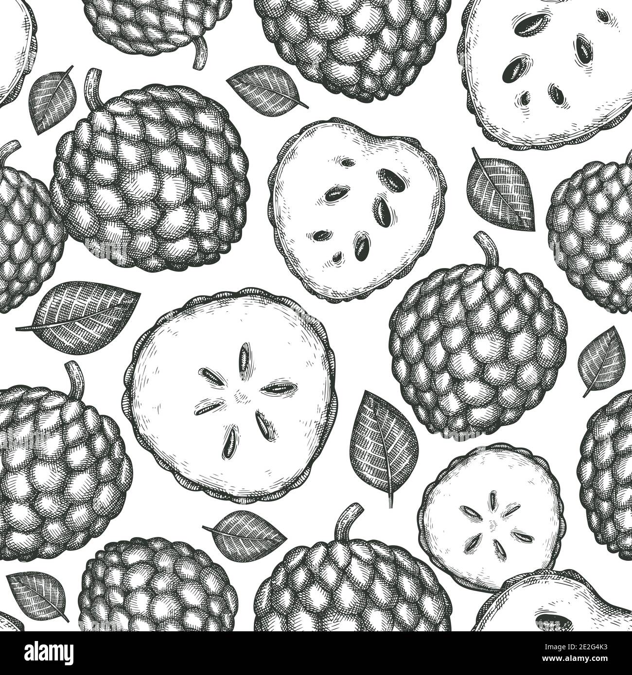 Hand drawn sketch style cherimoya seamless pattern. Organic fresh fruit ...
