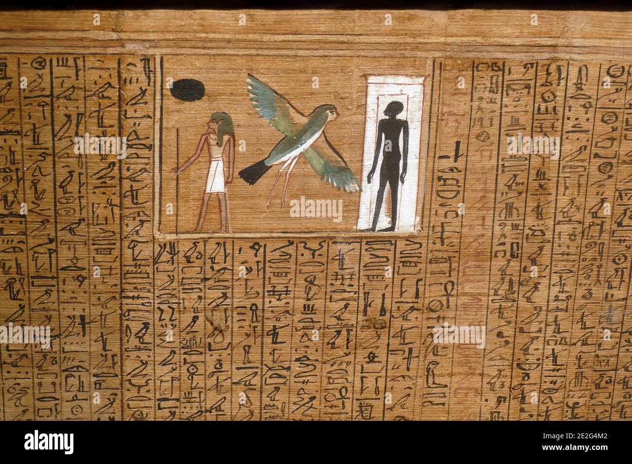 Medieval illustrated illuminated monastic manuscript with sheet ...