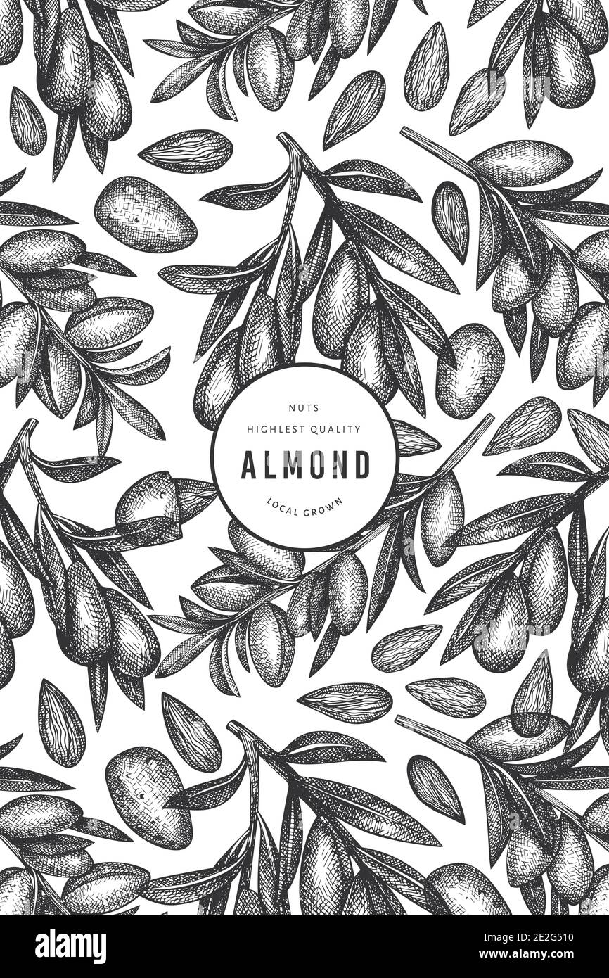 Hand drawn sketch almond design template. Organic food vector ...