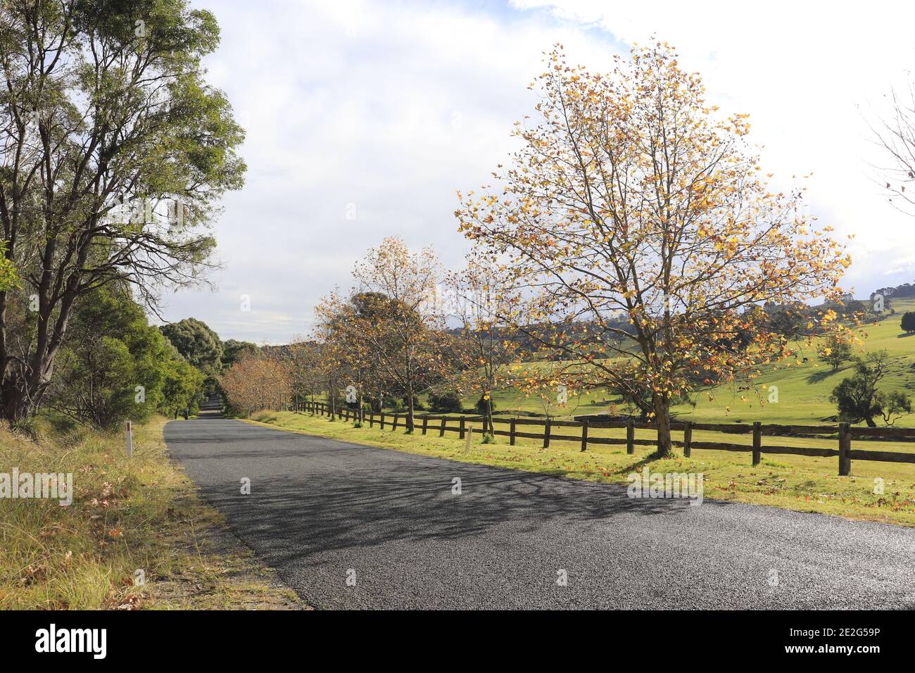 Southern Highlands Bowral High Resolution Stock Photography and Images ...