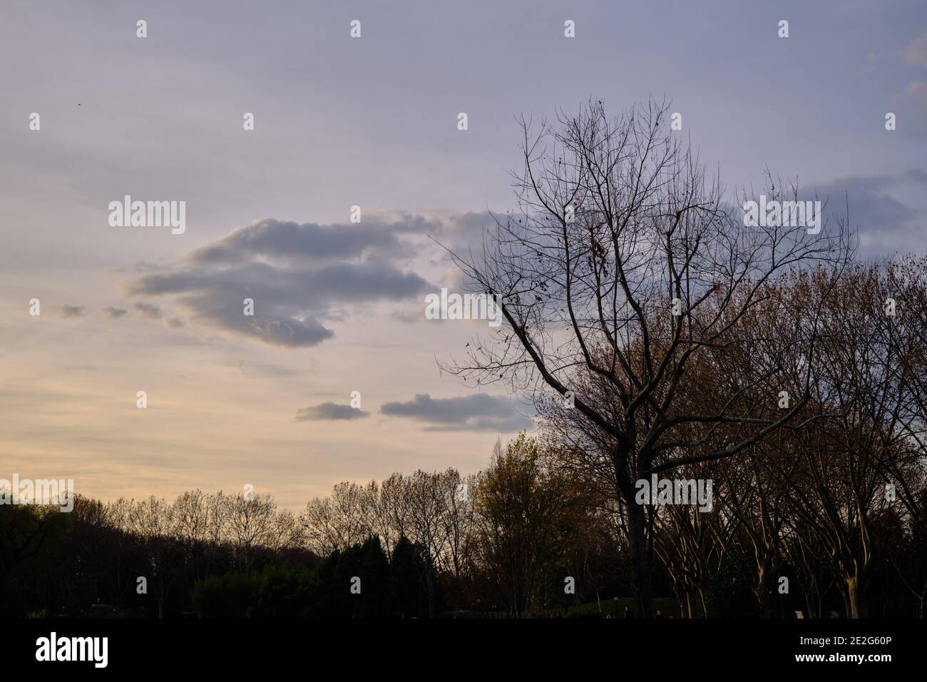 Many colors of sunset hi-res stock photography and images - Alamy