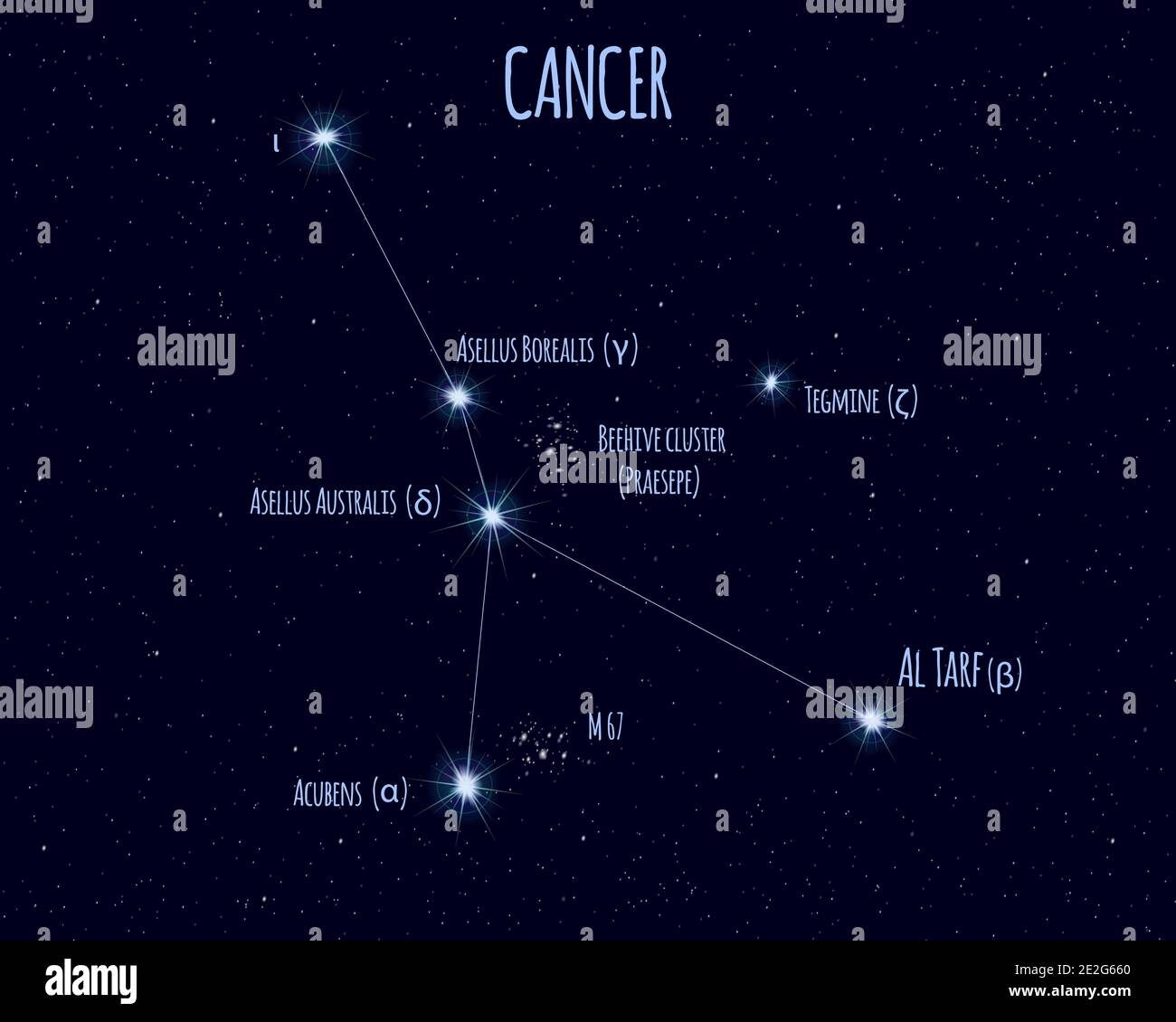 Cancer constellation, vector illustration with the names of basic stars ...