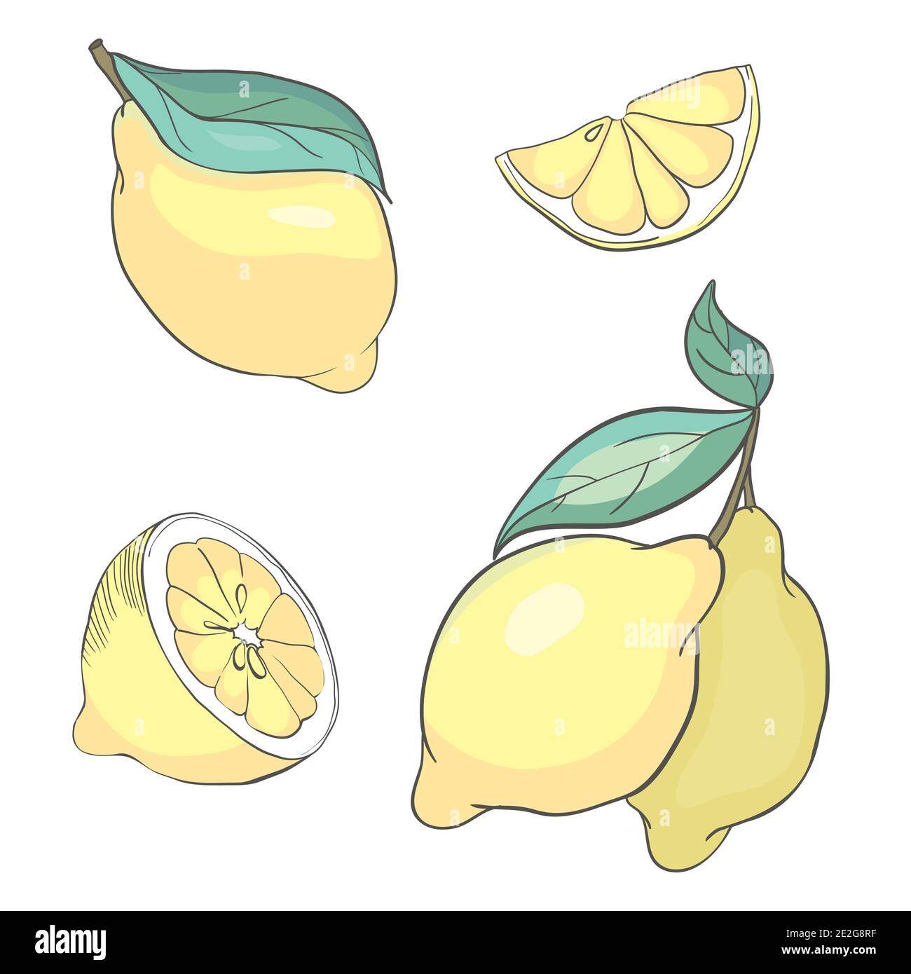 Hand drawn vector lemon whole and round slice, piece, on light ...