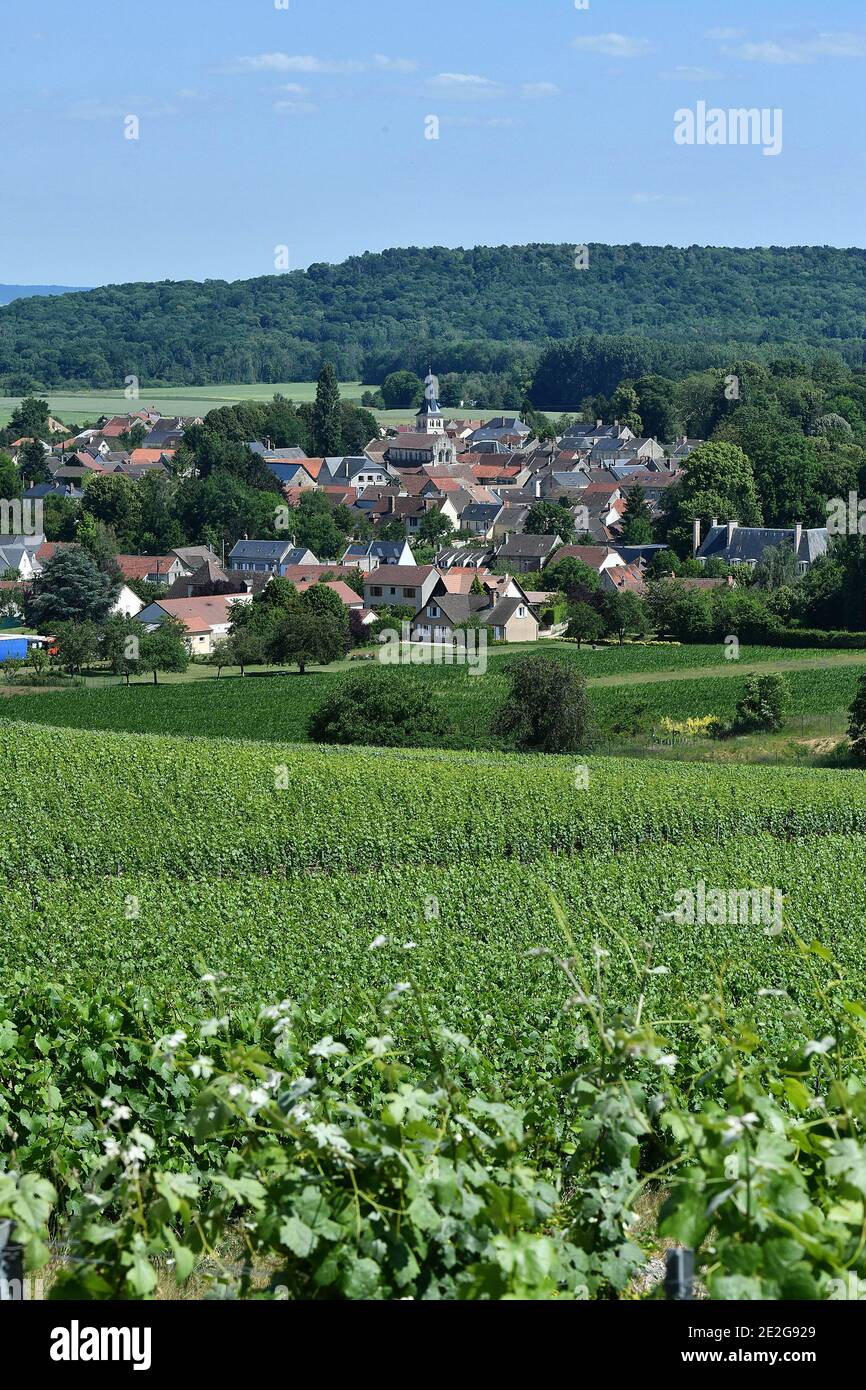 Hermonville (north-eastern France): the Church of Saint-Sauveur, the ...