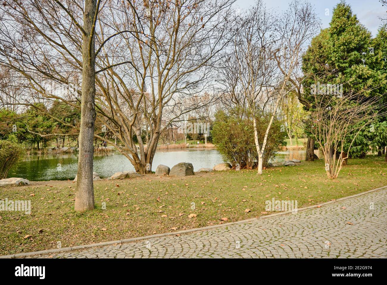Green yard and trees with huge mountain and blue sky background Stock ...