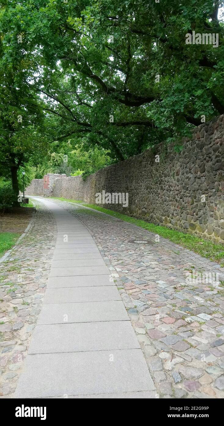 Vertical shot of a narrow pathway in a park surrounded by stone walls ...