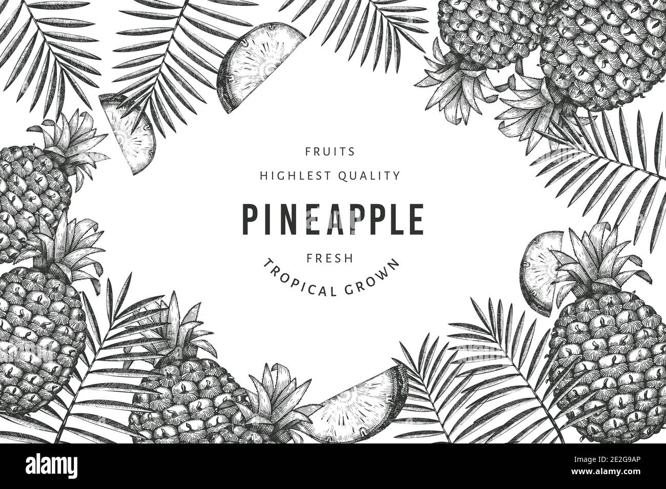 Hand drawn sketch style pineapple banner. Organic fresh fruit vector ...