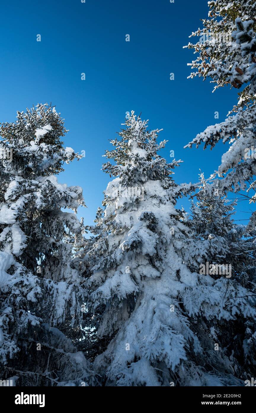 Perfect snow hi-res stock photography and images - Alamy