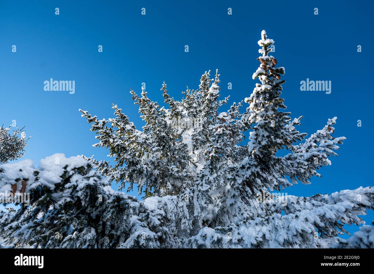 Perfect snow hi-res stock photography and images - Alamy