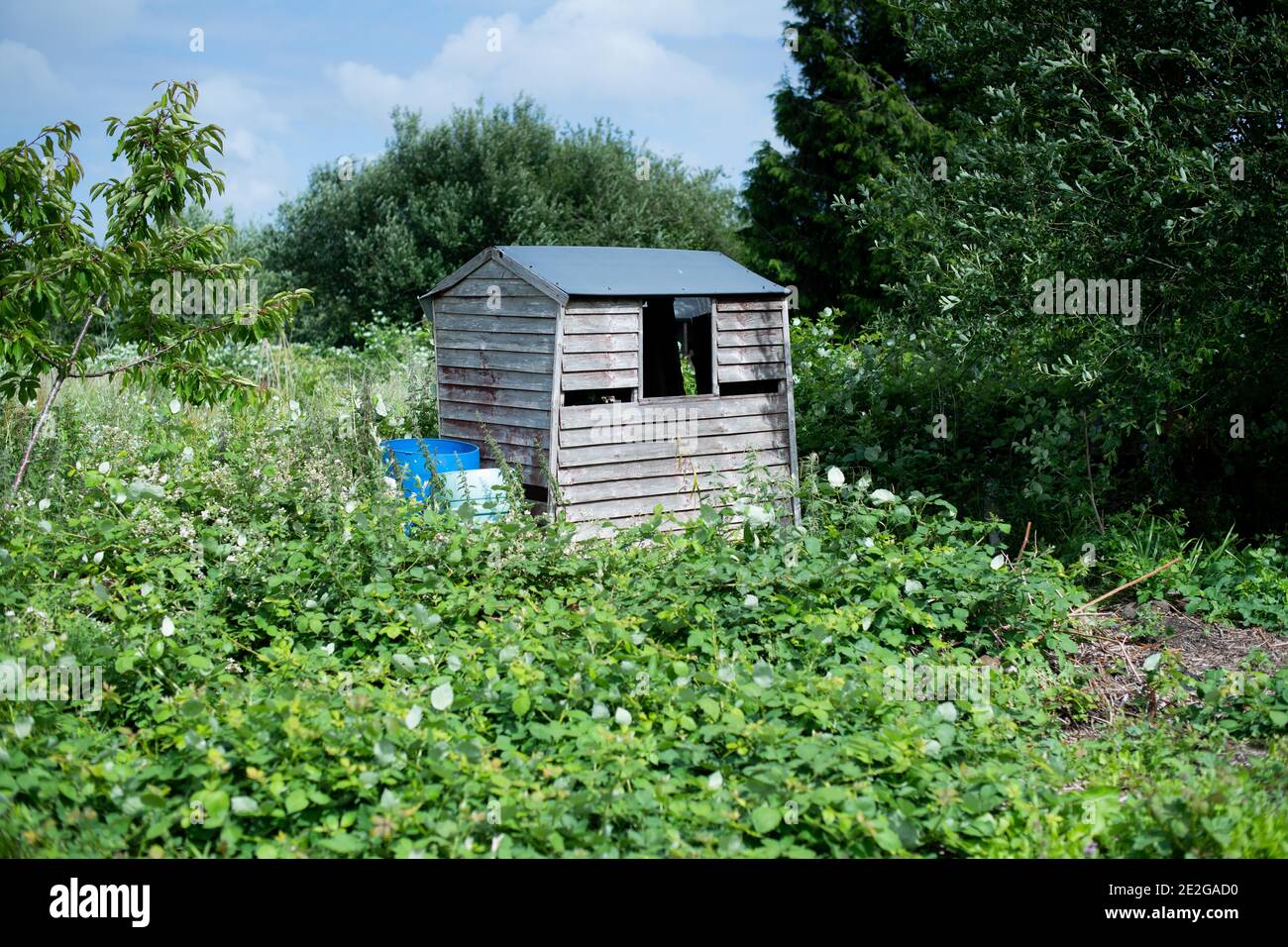 Shed compost hi-res stock photography and images - Alamy