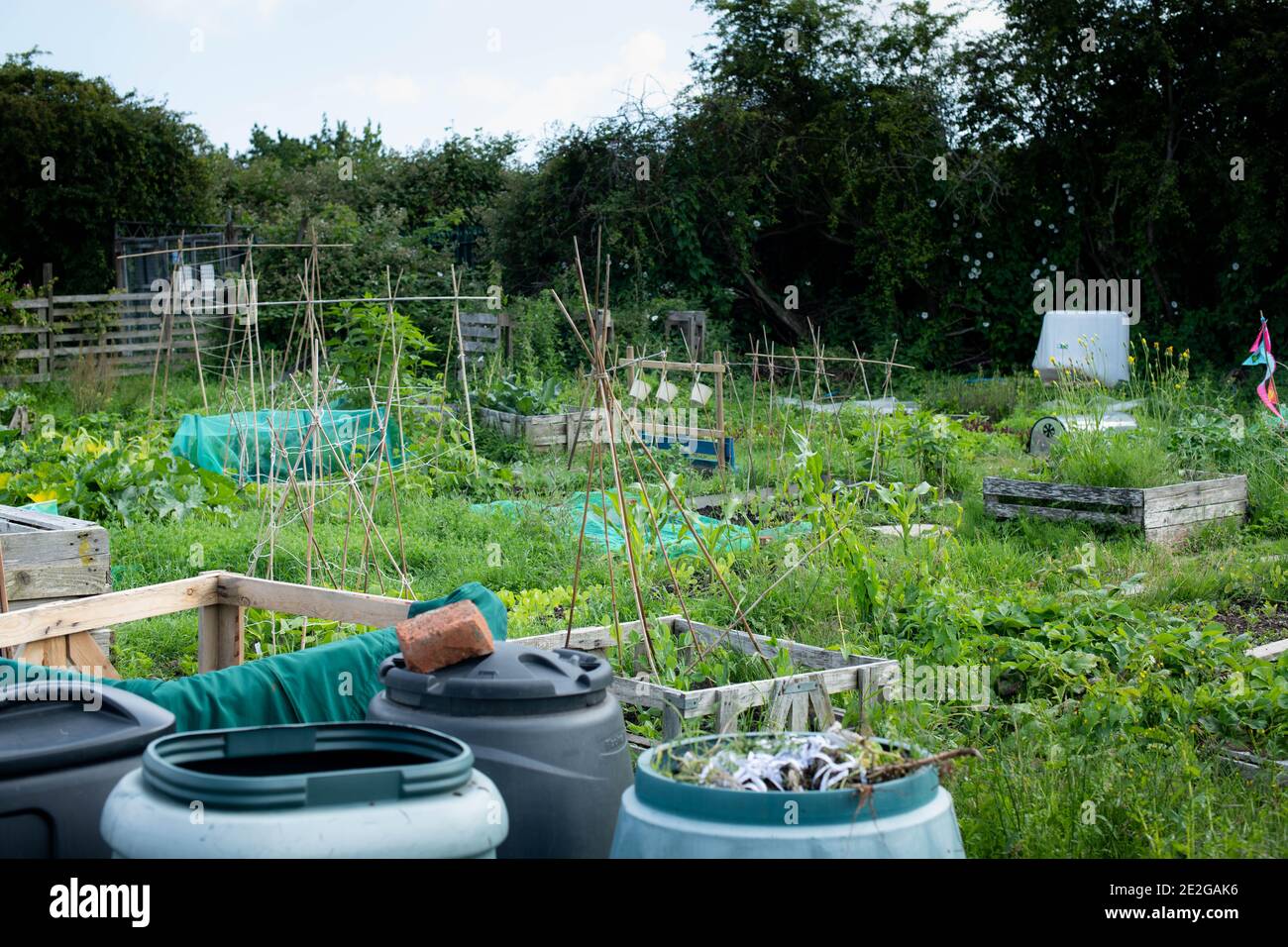Allotment trees hi-res stock photography and images - Alamy
