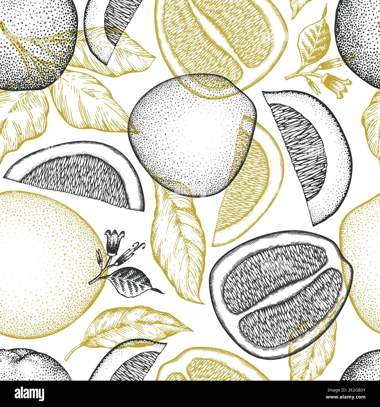 Hand drawn sketch style pomelo seamless pattern. Organic fresh fruit ...
