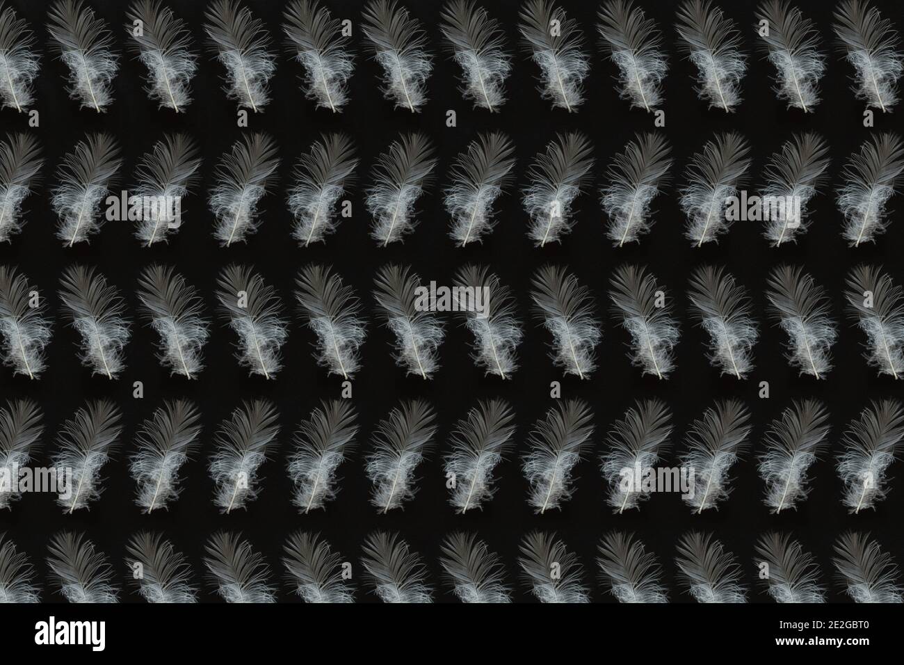 Plume pattern isolated on a black background - perfect for wallpapers ...