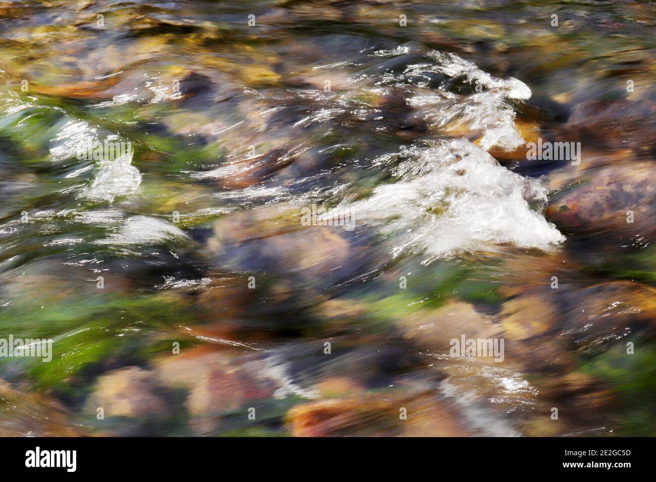 pure spring water in the stream Stock Photo - Alamy