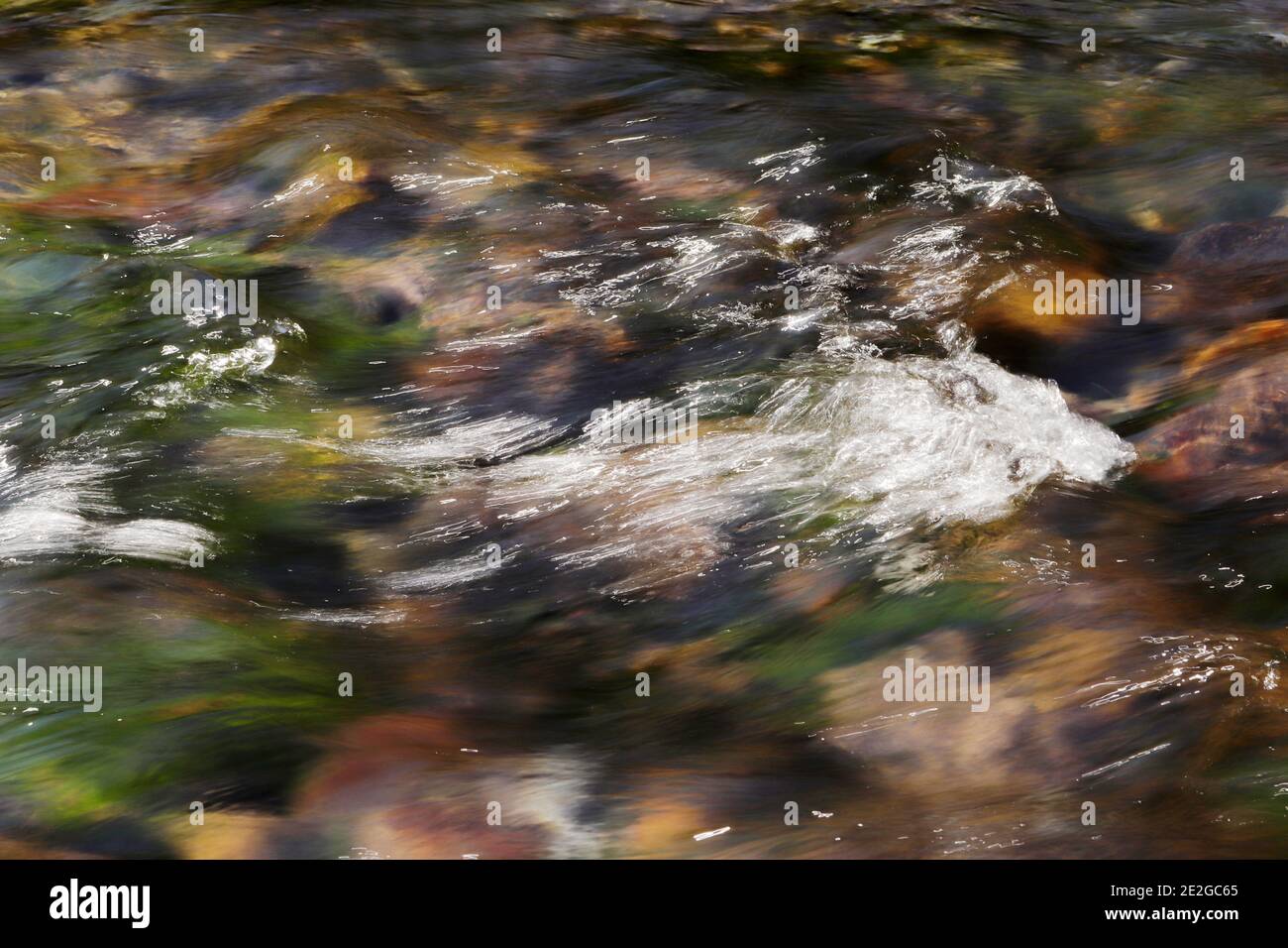 pure spring water in the stream Stock Photo - Alamy