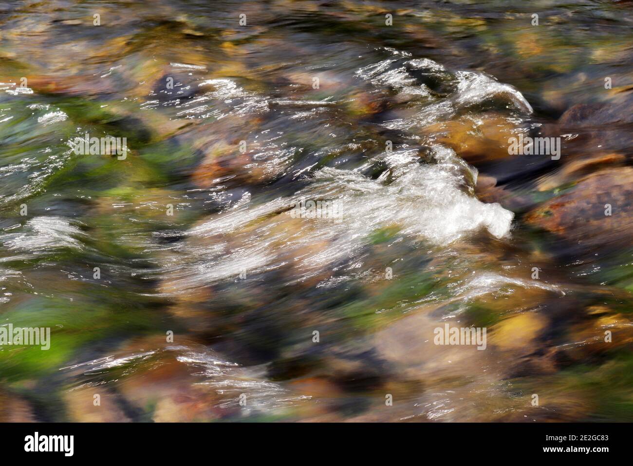 pure spring water in the stream Stock Photo - Alamy