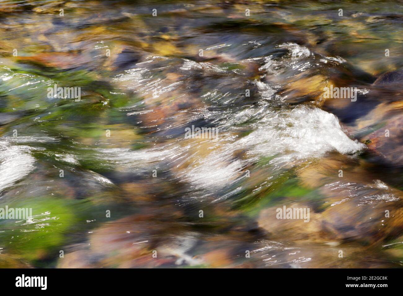 pure spring water in the stream Stock Photo - Alamy