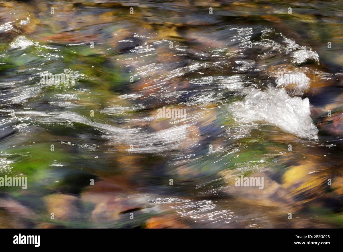 pure spring water in the stream Stock Photo - Alamy
