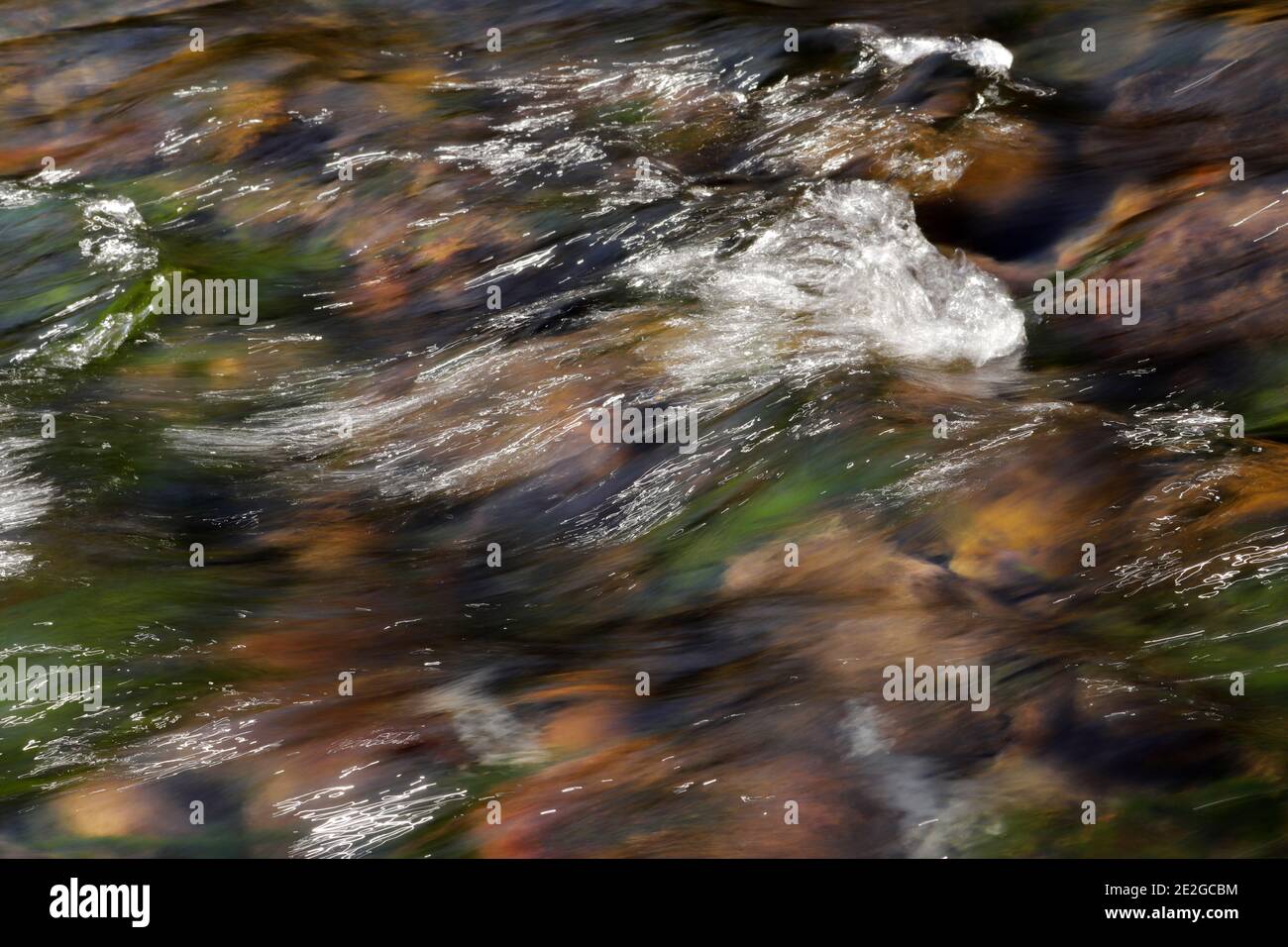 pure spring water in the stream Stock Photo - Alamy