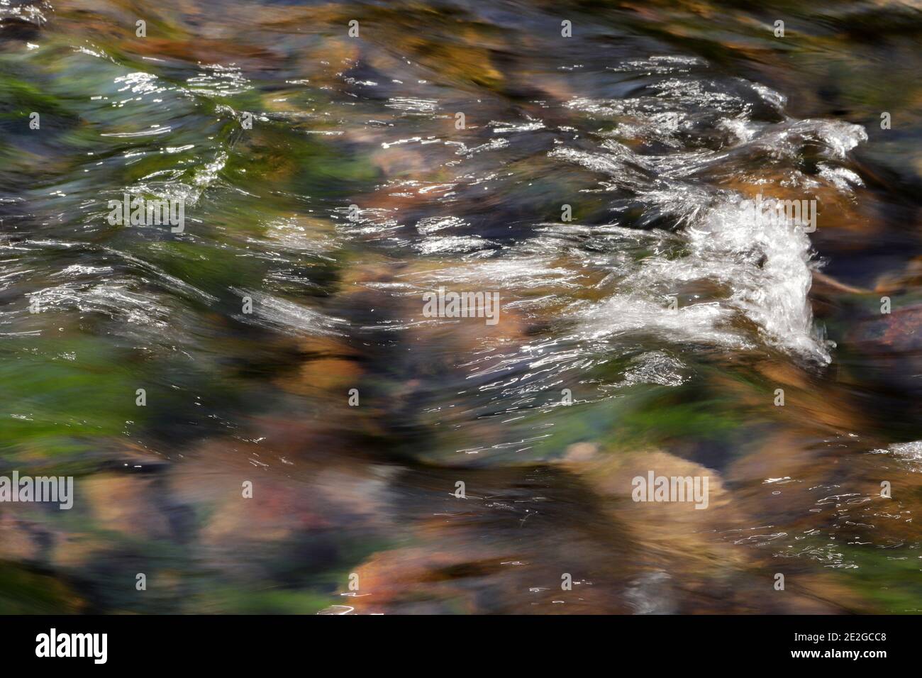 pure spring water in the stream Stock Photo - Alamy