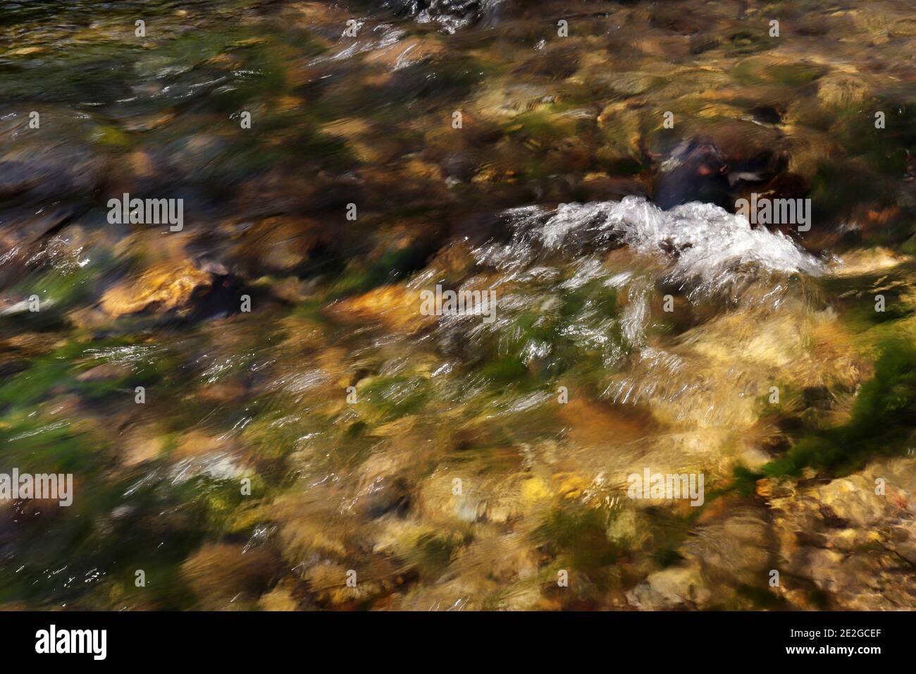 pure spring water in the stream Stock Photo - Alamy