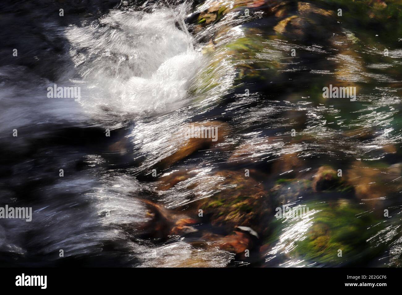 pure spring water in the stream Stock Photo - Alamy