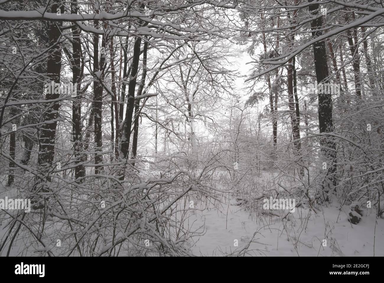 Frosty Scenery Landscape High Resolution Stock Photography and Images ...