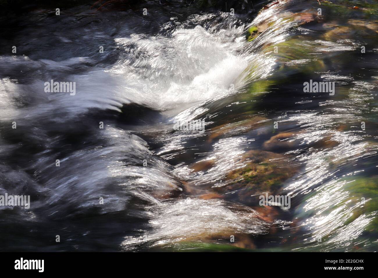 pure spring water in the stream Stock Photo - Alamy
