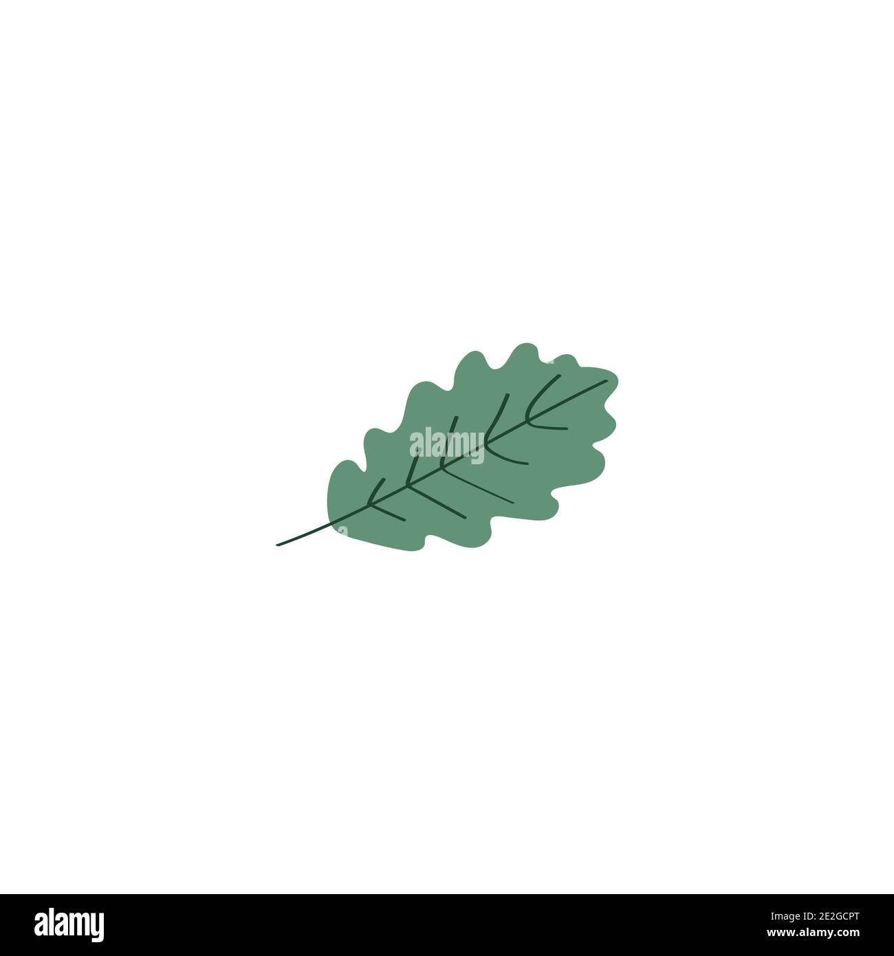Oak Leaf Vector Free Download