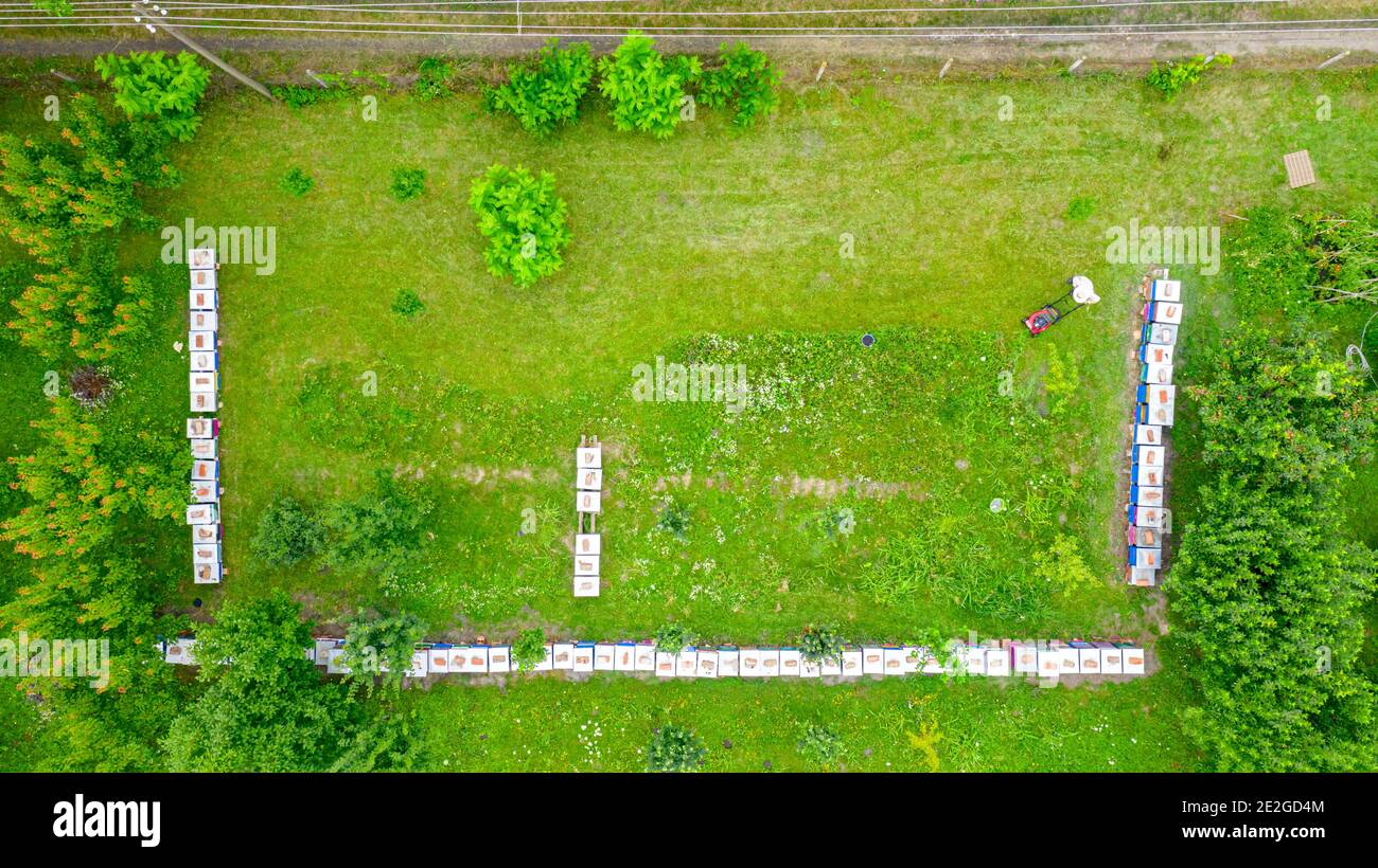 Top down aerial view beekeeper hi-res stock photography and images - Alamy