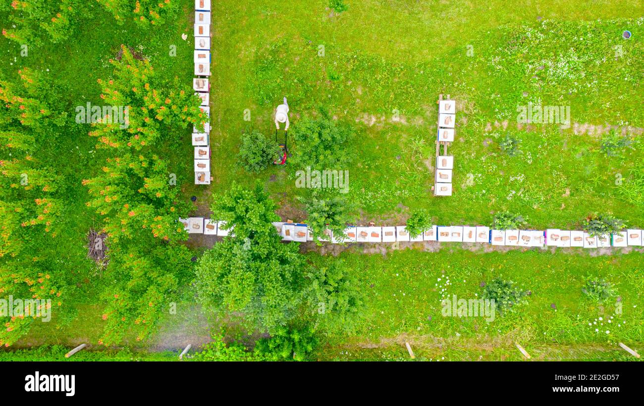 Top down aerial view beekeeper hi-res stock photography and images - Alamy