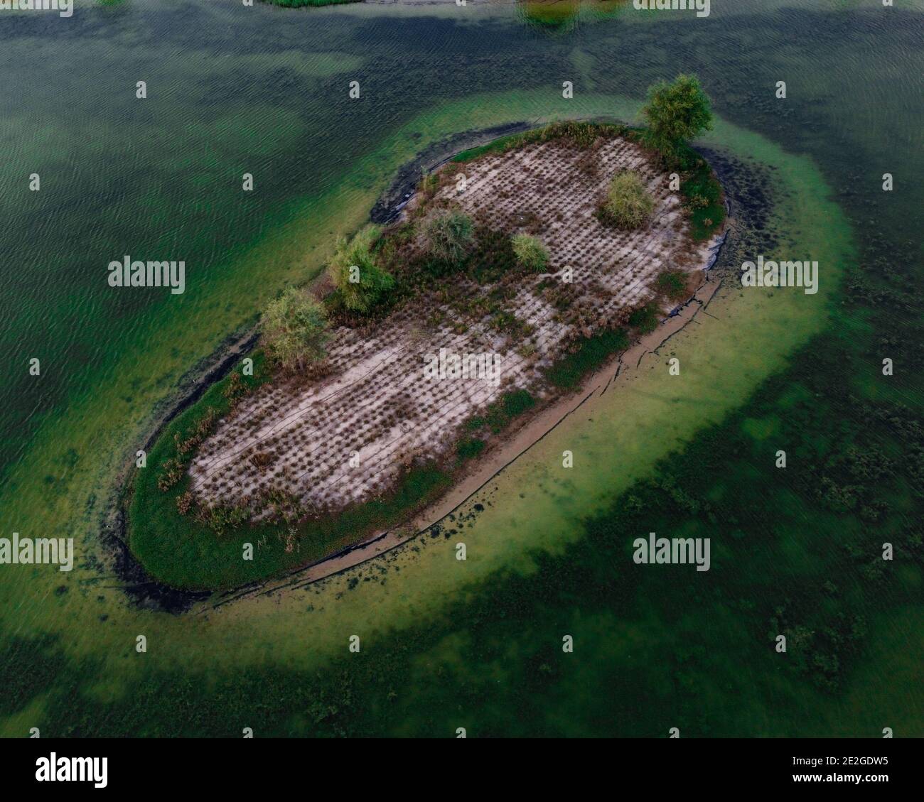 island in al qudra lake Stock Photo - Alamy
