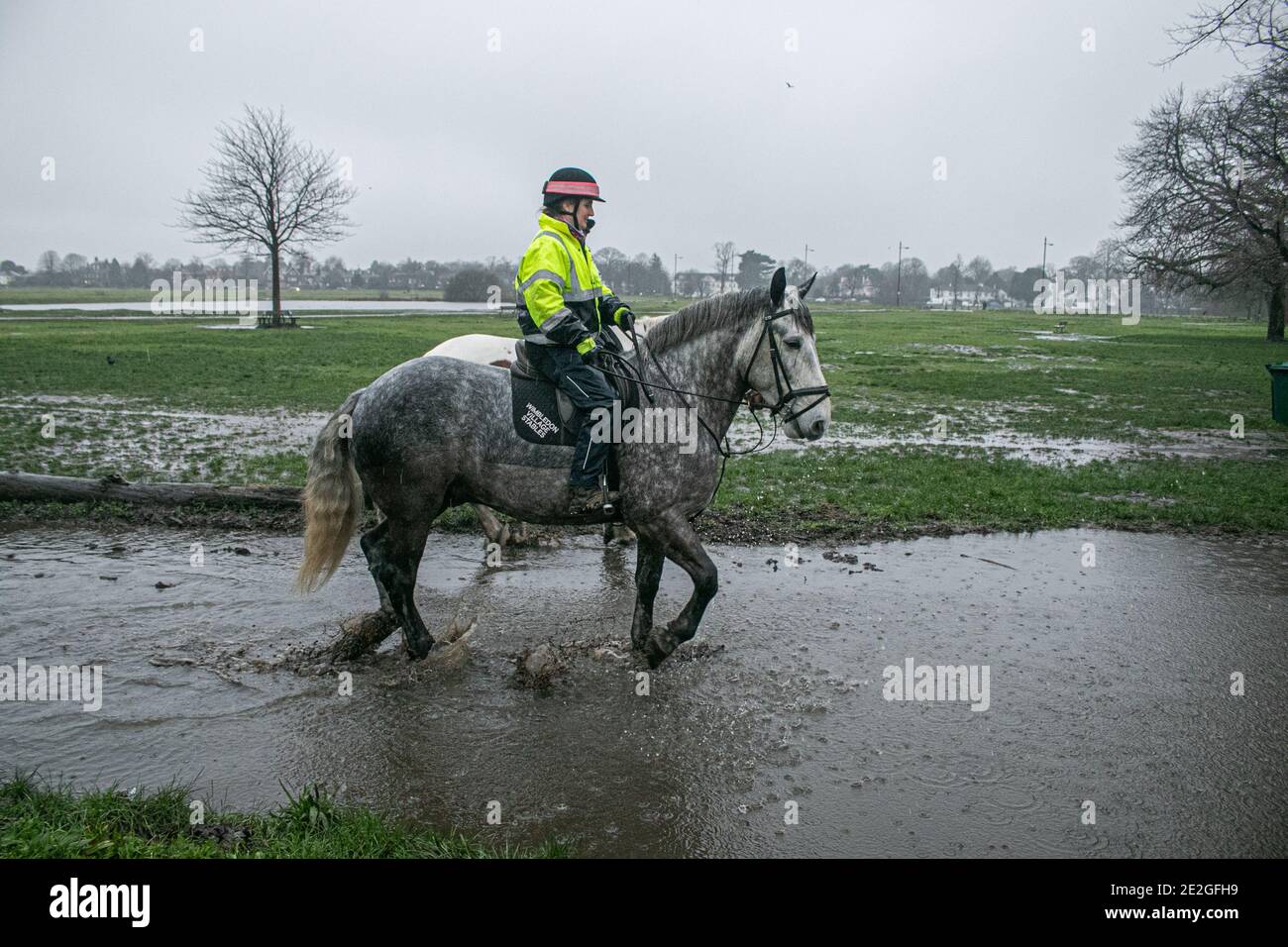 Wimbledon stables hi-res stock photography and images - Alamy
