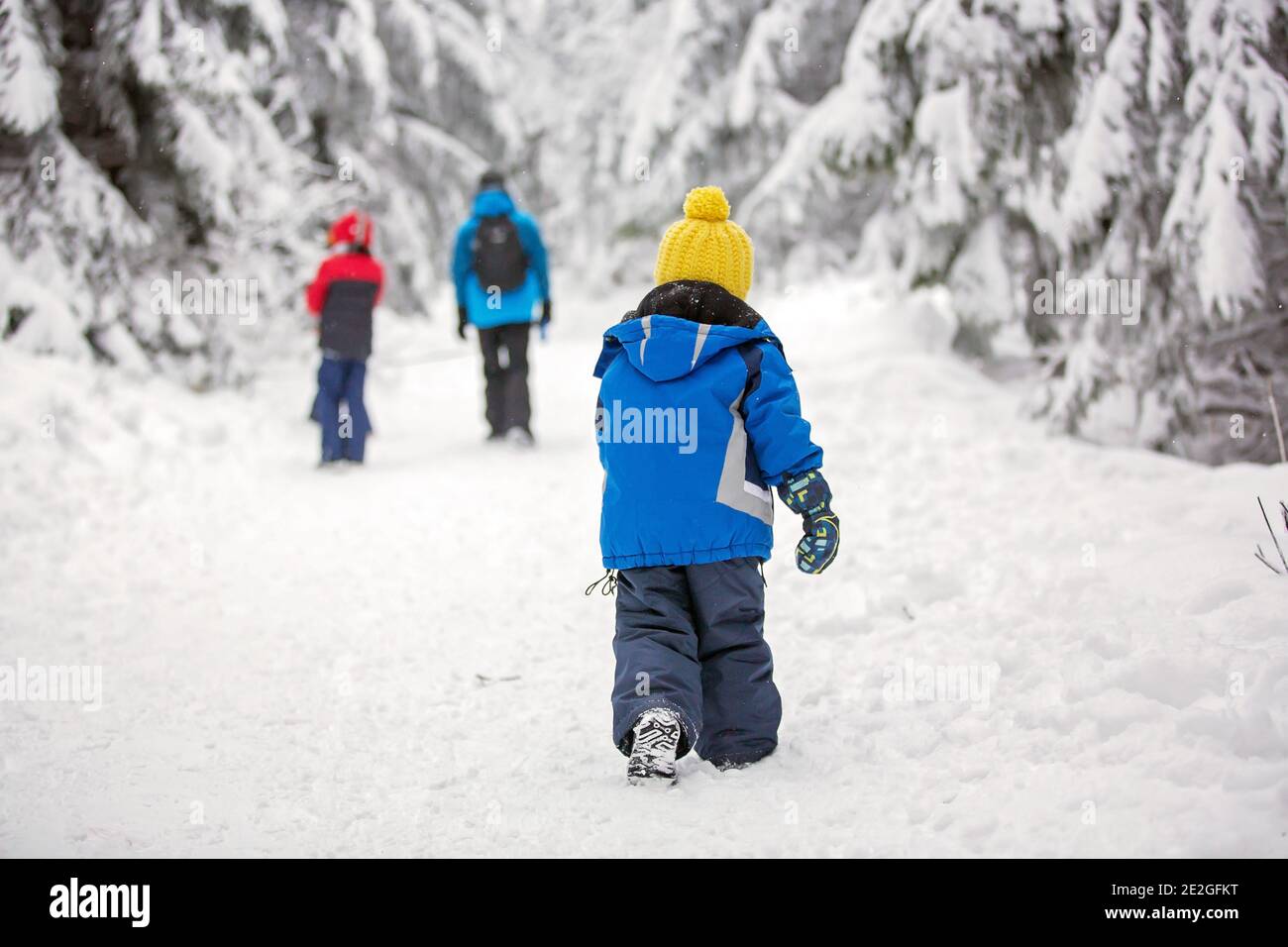 Sweet happy children, brothers, playing in deep snow in forest, frosted ...